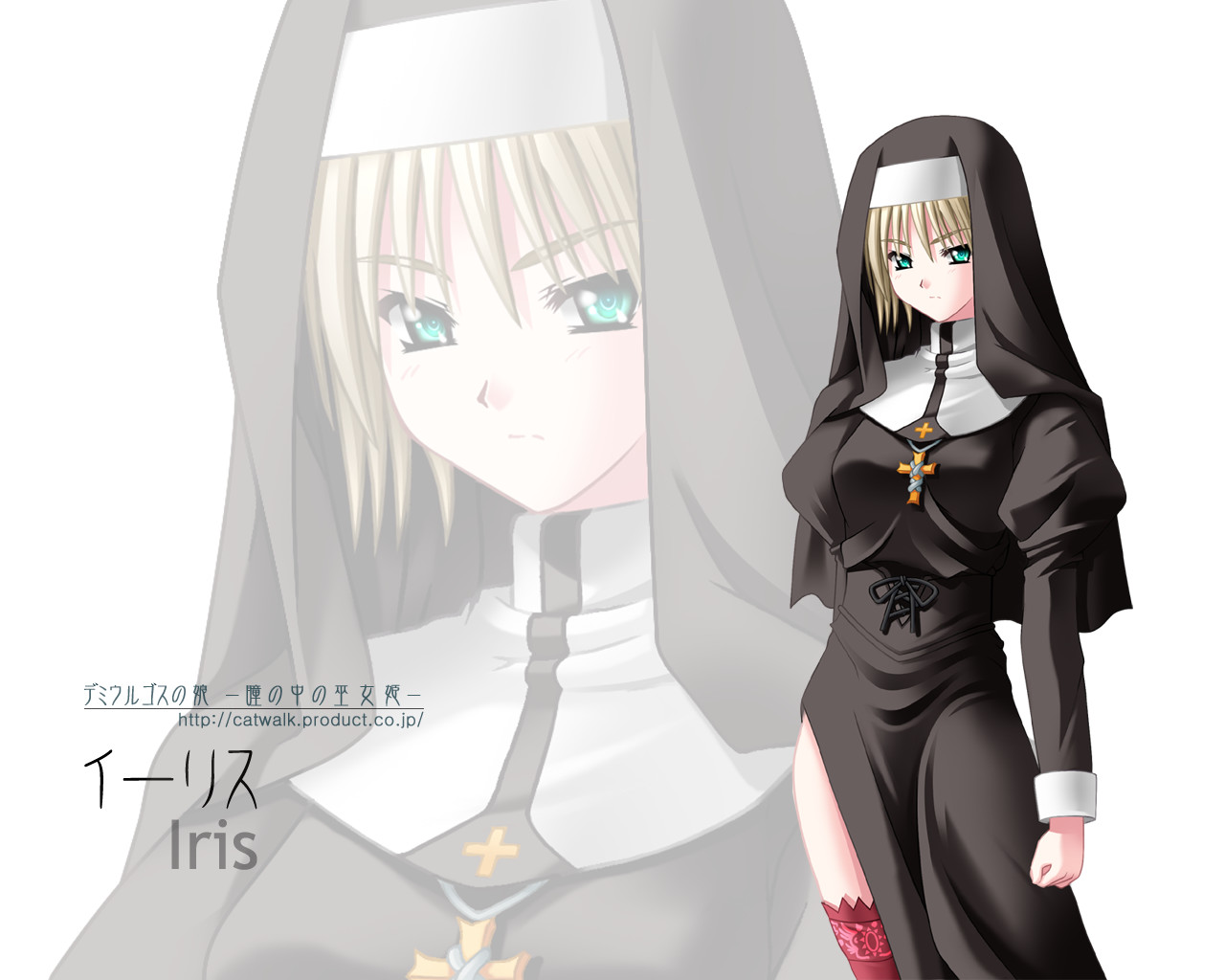 Index of /products/demi/down/